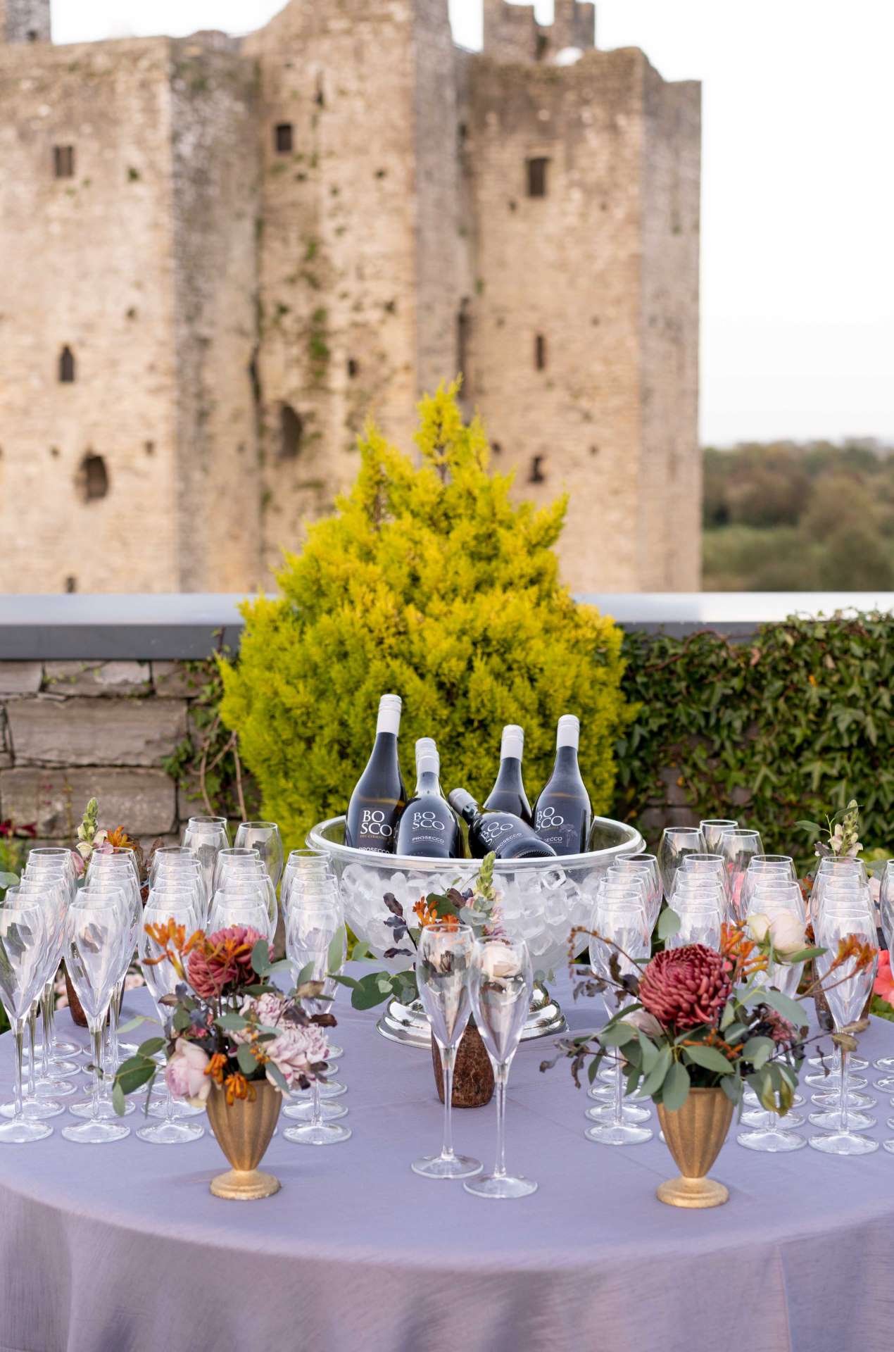 Hotel Gallery - Trim Castle Hotel